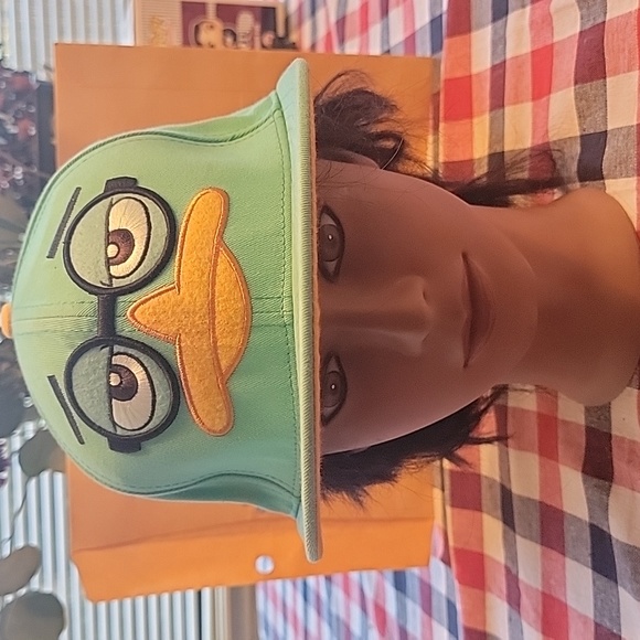 Disney | Accessories | Disney Phineas And Ferb Perry Youtj Hat | Poshmark